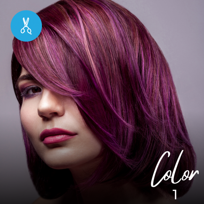 Color 1 - Alta Capacitación Profesional